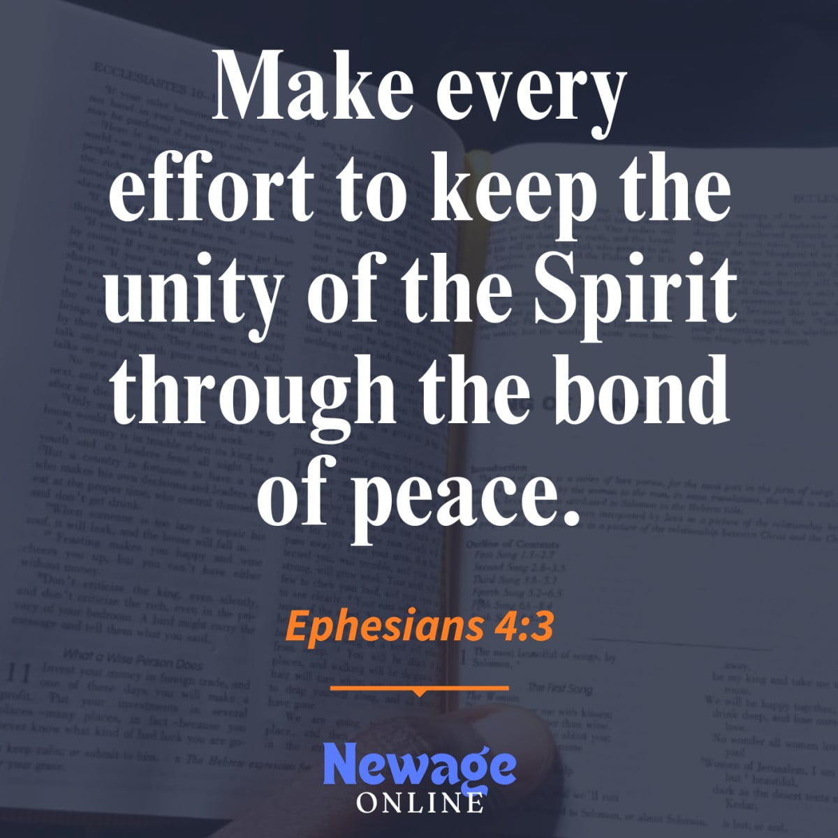 40 Important Bible Verses About Unity In The Church